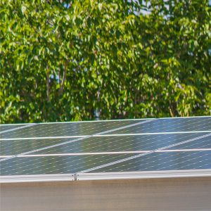 Solar Pros: Environmental Impact of Solar Panels